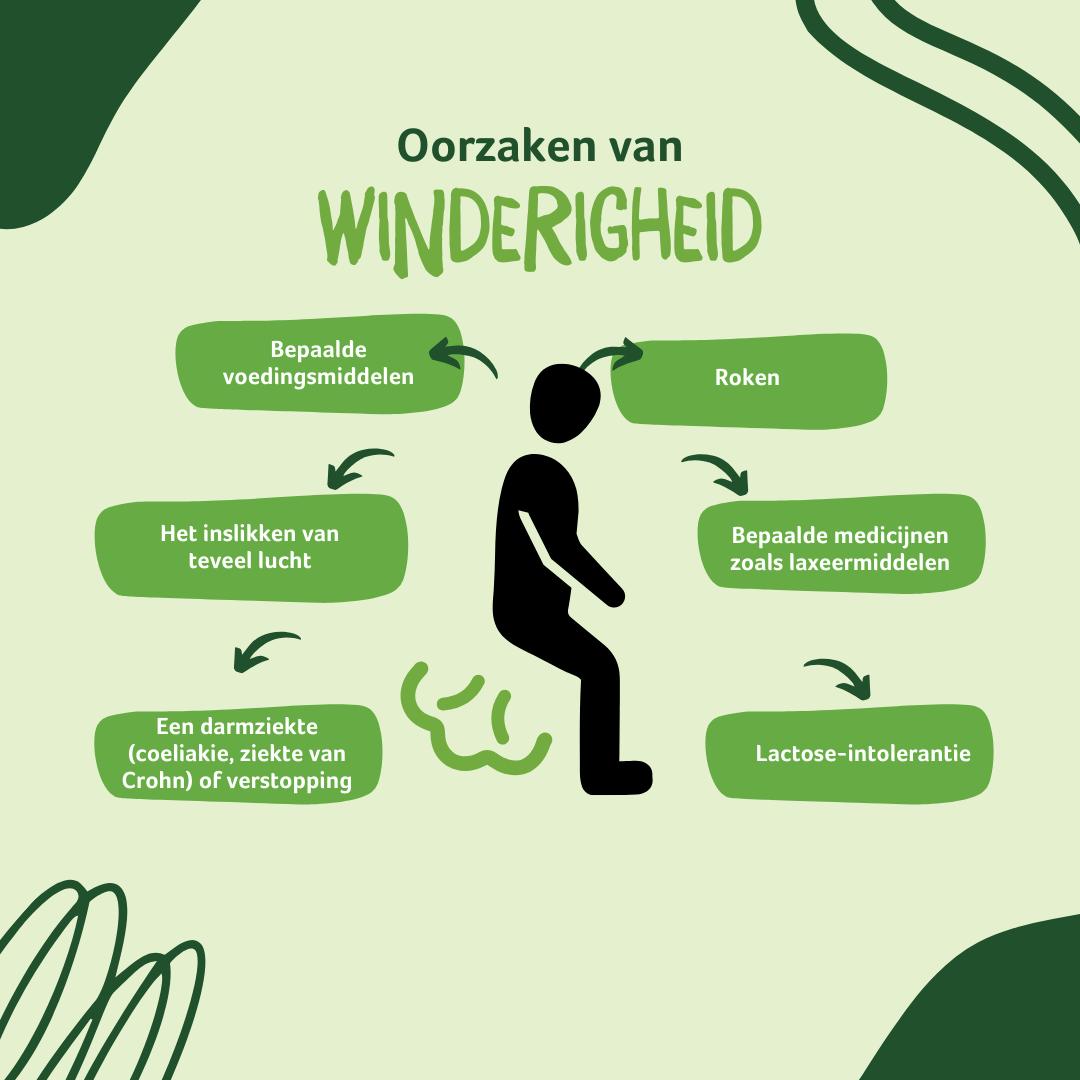 Winderigheid en vezels - WholeFiber